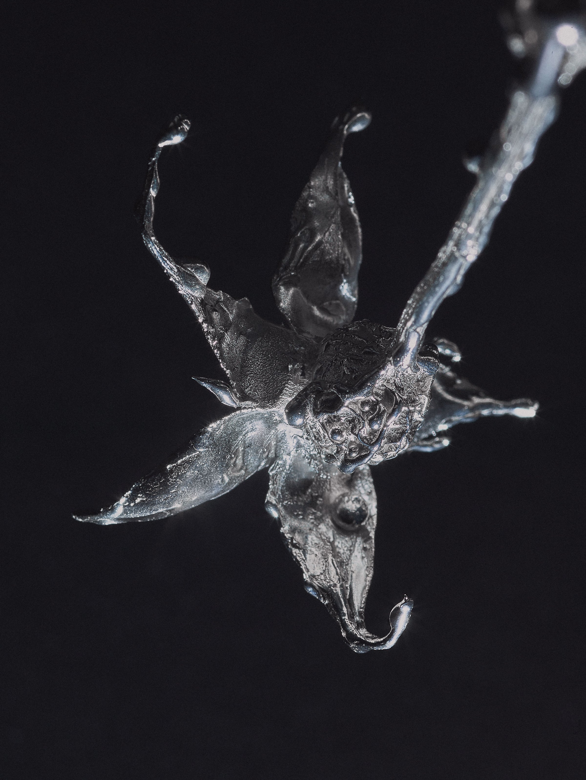 The Ethereal Creature | Aeri Go